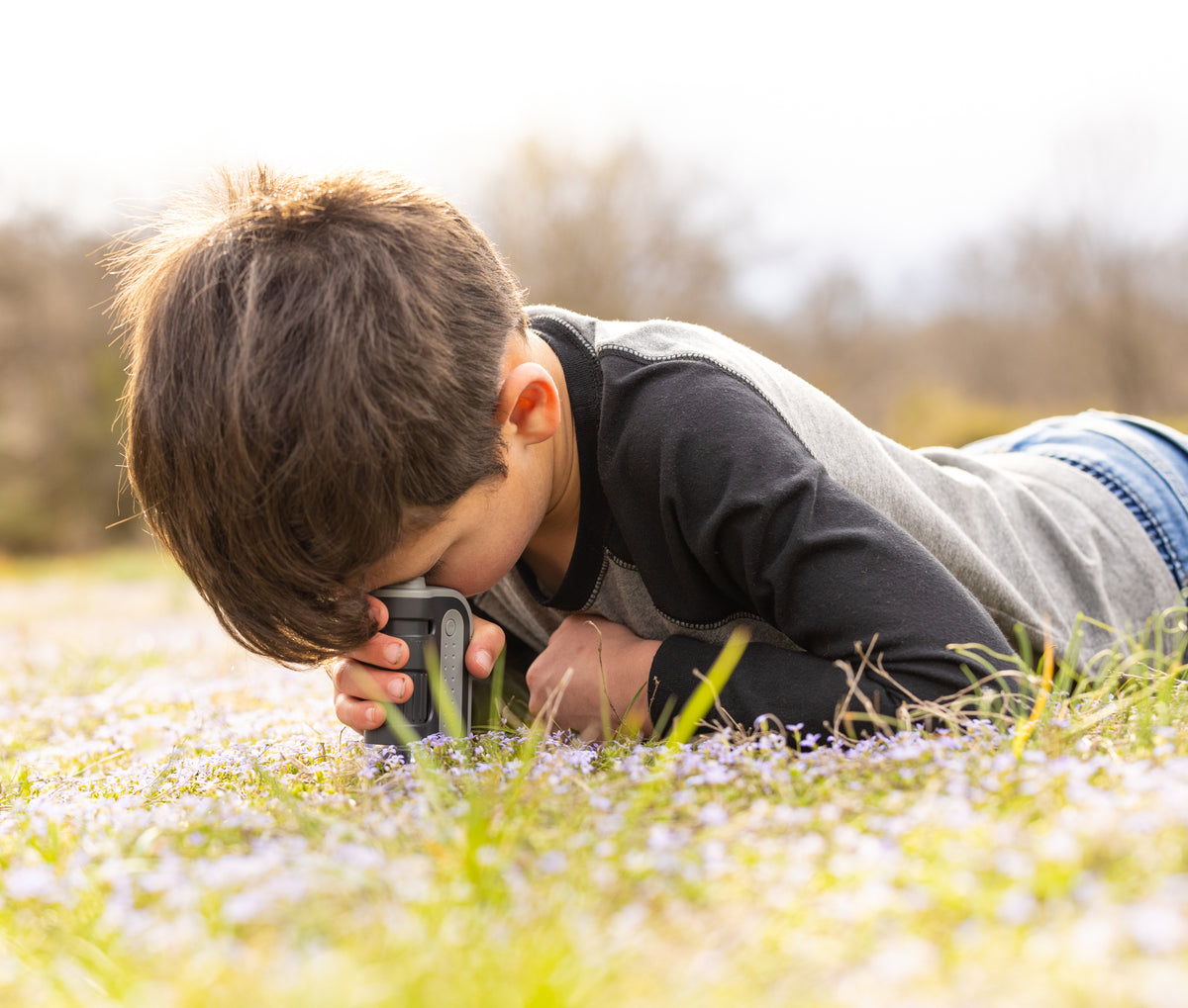 Close up: Using a Pocket Microscope for Nature Study – Firefly Nature ...