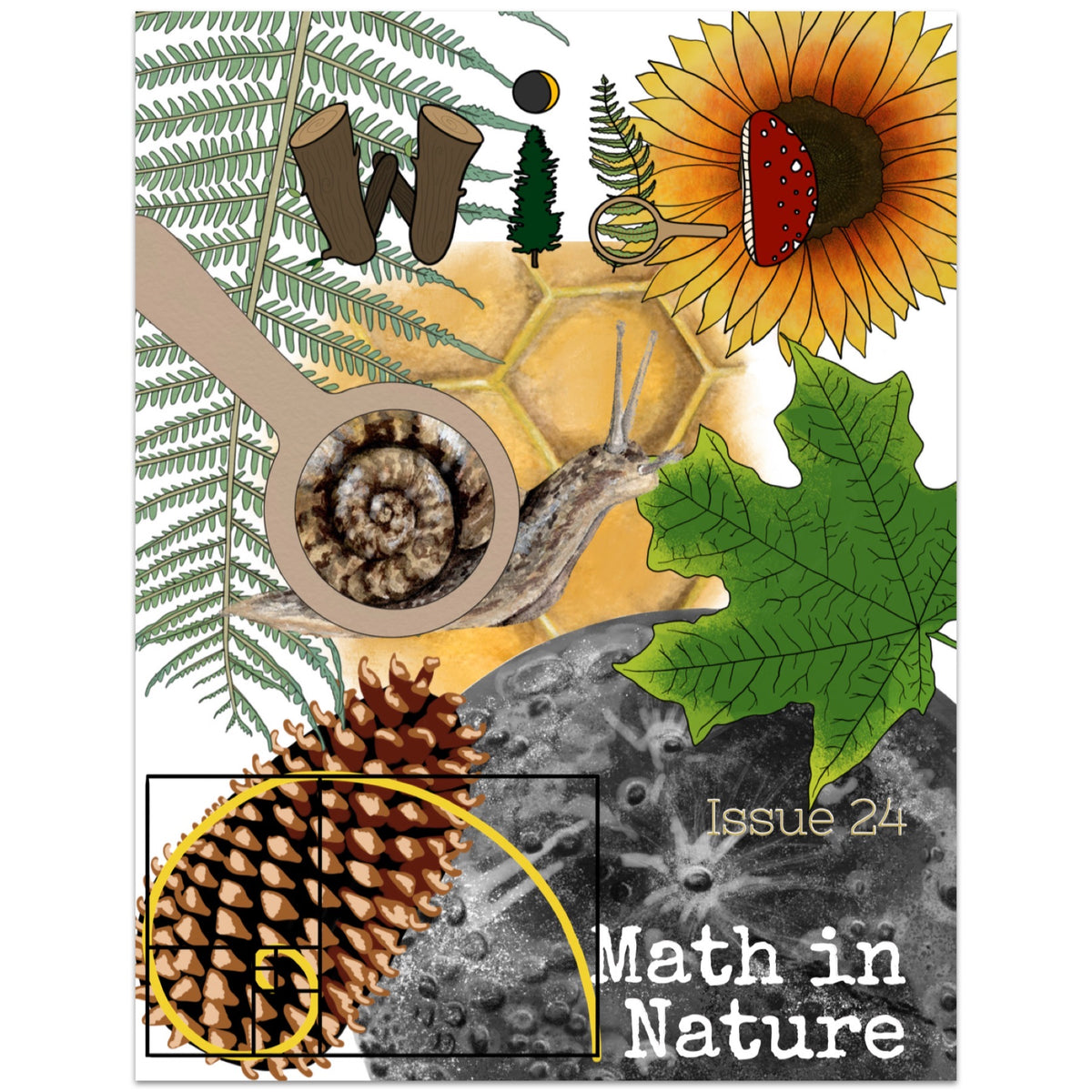 WILD Mag Issue 24 - Math in Nature – Firefly Nature School