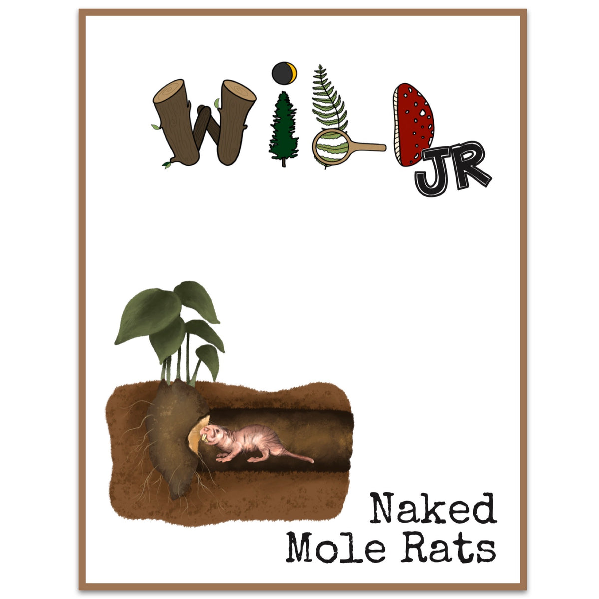 WILD Mag Jr - Naked Mole-Rats – Firefly Nature School