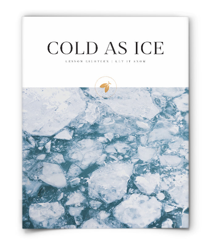 Firefly Nature School - Cold As Ice
