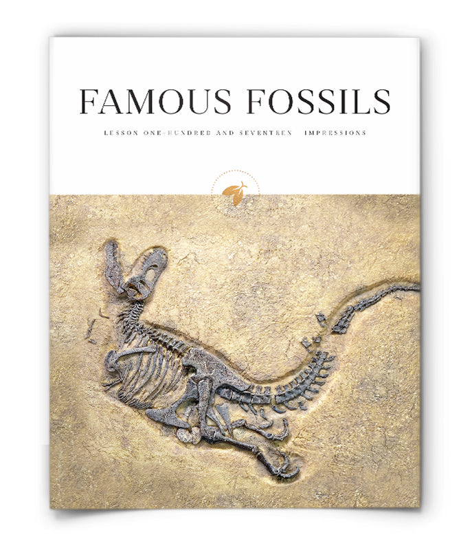 Firefly Nature School - Famous Fossils