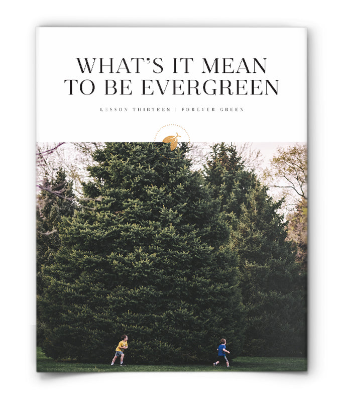 What's It Mean to Be Evergreen? – Firefly Nature School