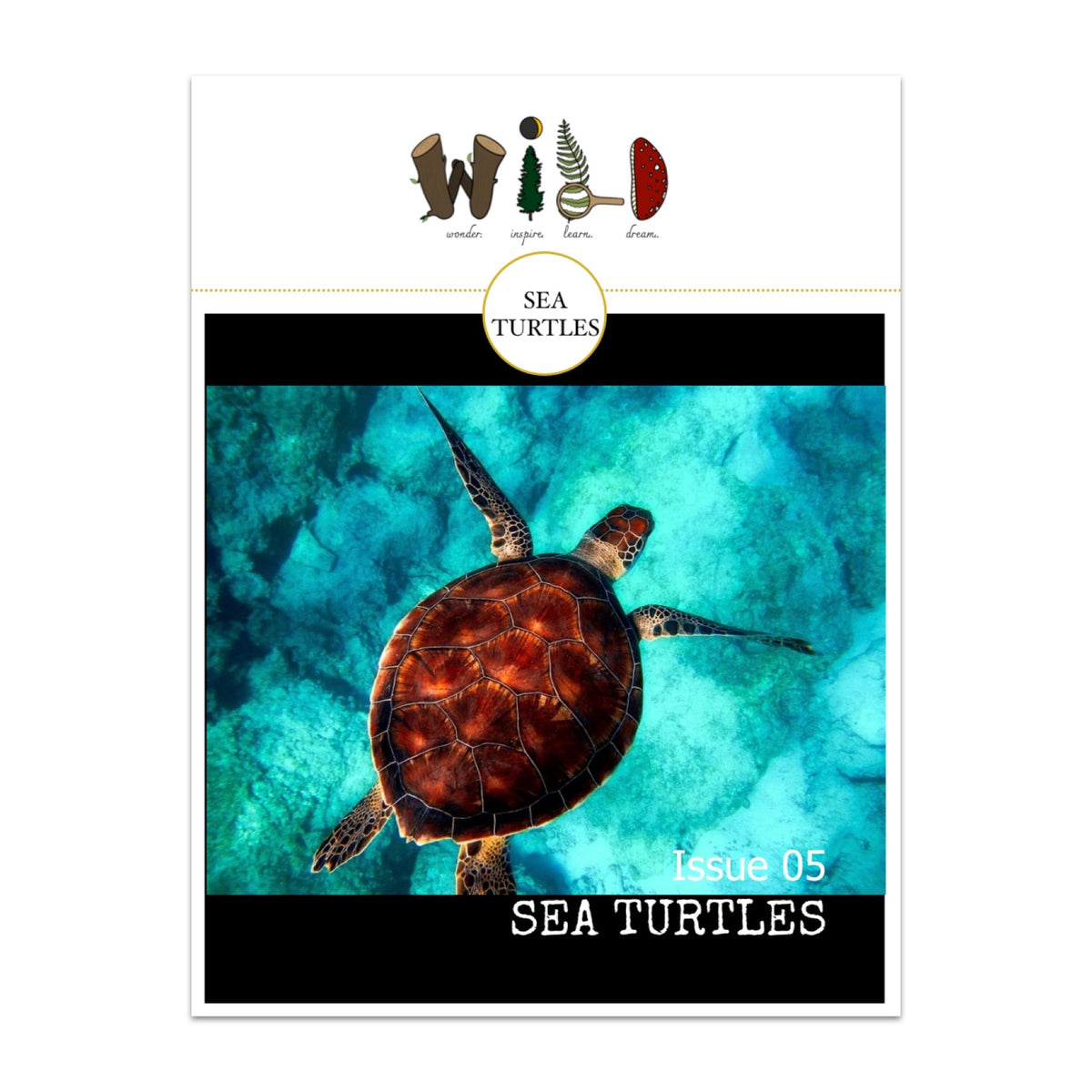 WILD Mag Issue 5 - Sea Turtles – Firefly Nature School