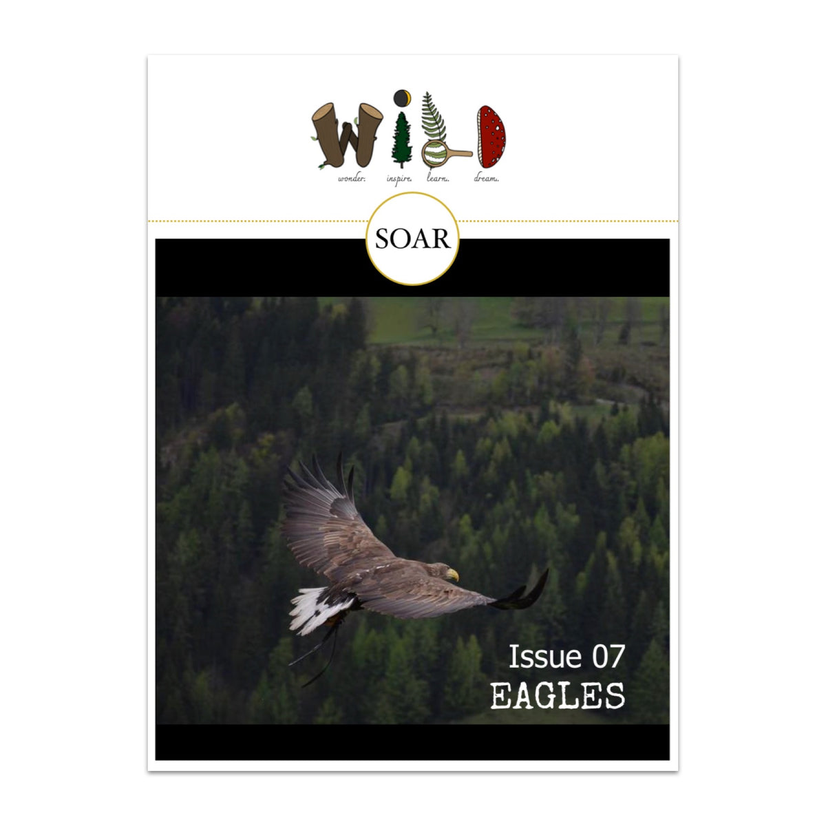 WILD Mag Issue 7 - Soar – Firefly Nature School