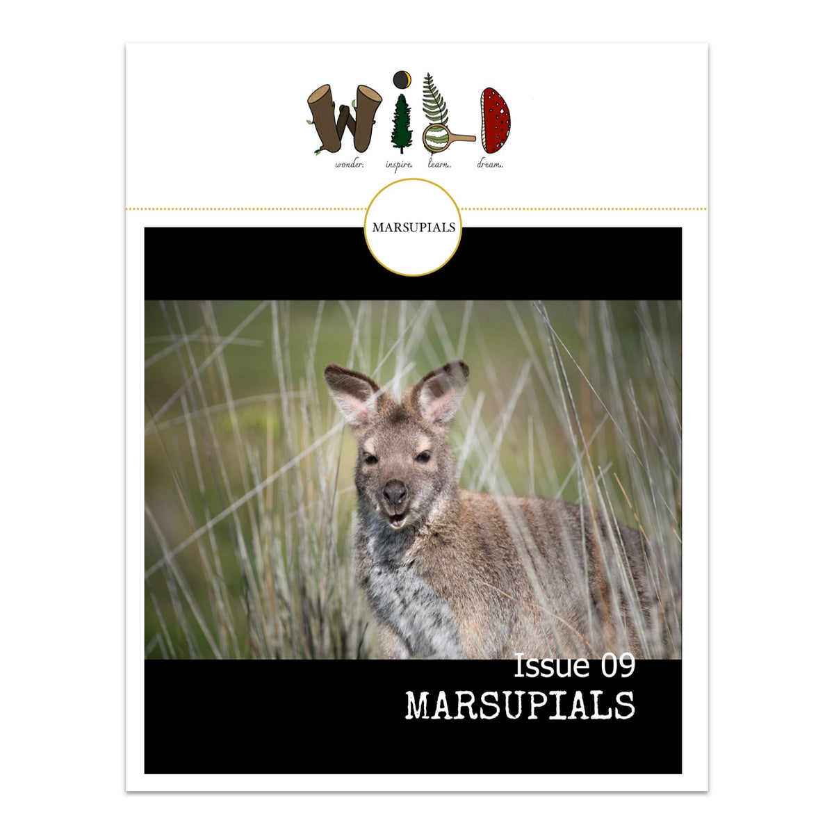 WILD Mag Issue 9 - Marsupials – Firefly Nature School
