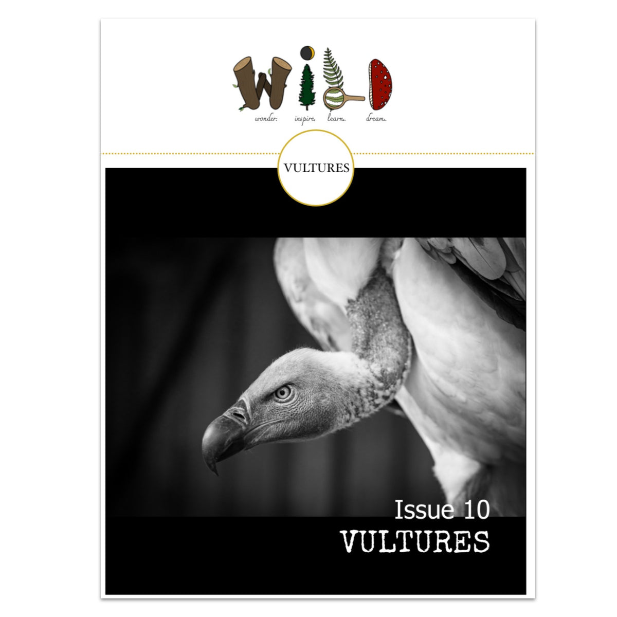 WILD Mag Issue 10 - Vultures – Firefly Nature School
