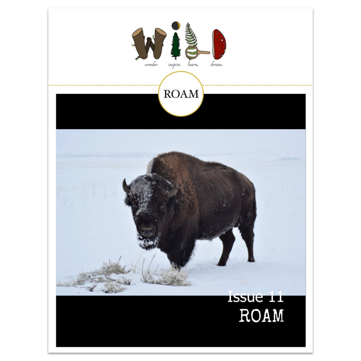 WILD Mag Issue 11: Bison – Firefly Nature School