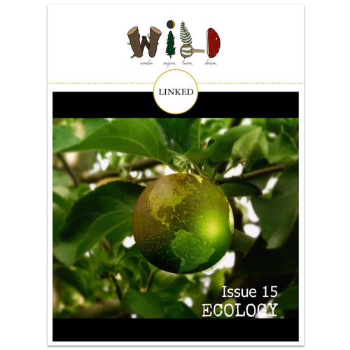 WILD Mag Nature Studies – Firefly Nature School