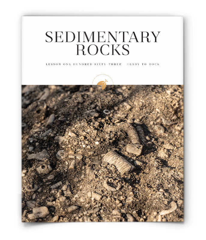 Firefly Nature School - Sedimentary Rocks