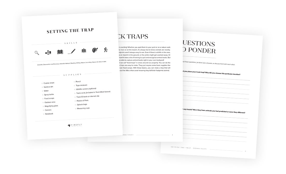 Firefly Nature School - Setting the Trap