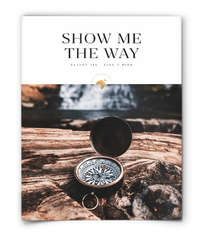 Show Me The Way – Firefly Nature School